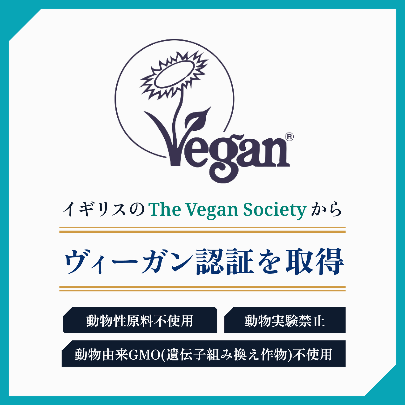 ノンアルコールビール BRULO（ブルーロ） LUST FOR LIFE DDH IPA 0.0% 330ml | Beverich